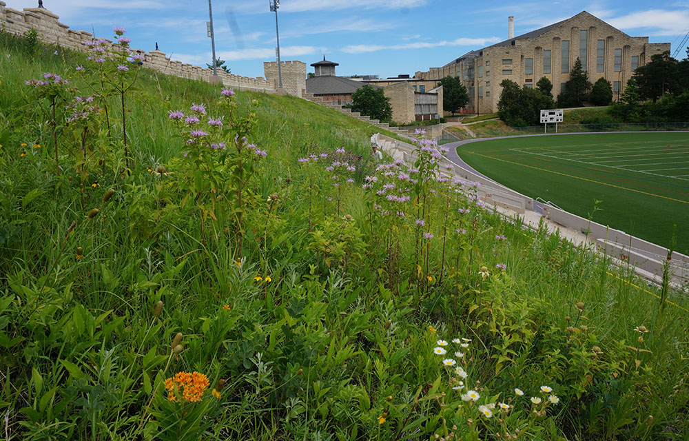 Kansas State University Memorial Stadium Green Roofs | Landscape ...