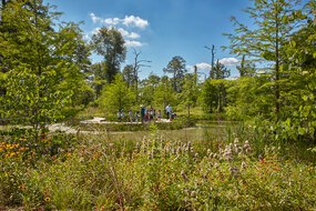 Houston Arboretum and Nature Center, Phase 1 | Landscape Performance Series