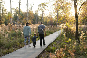 Houston Arboretum and Nature Center, Phase 1 | Landscape Performance Series