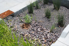 Cortex Commons | Landscape Performance Series