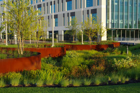 Cortex Commons | Landscape Performance Series