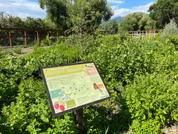 Story Mill Community Park | Landscape Performance Series