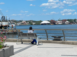 Spaulding Rehabilitation Hospital | Landscape Performance Series