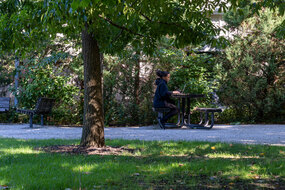 Muscota Marsh | Landscape Performance Series