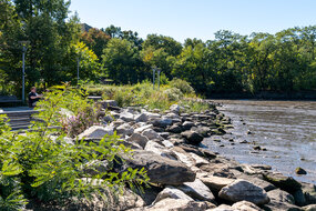 Muscota Marsh | Landscape Performance Series