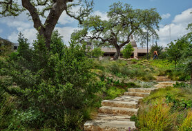 Waterloo Park | Landscape Performance Series