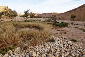 Wadi Hanifah Comprehensive Development Plan | Landscape Performance Series