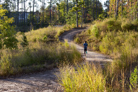 Duke University Water Reclamation Pond | Landscape Performance Series