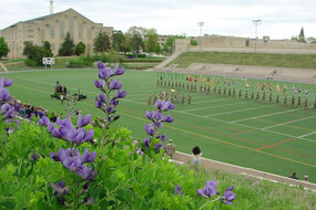 Kansas State University Memorial Stadium Green Roofs | Landscape ...