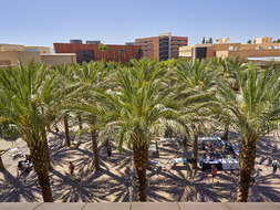 Arizona State University Orange Mall Green Infrastructure Project ...