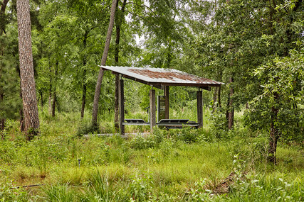 Houston Arboretum and Nature Center, Phase 1 | Landscape Performance Series