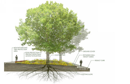 Moore Square | Landscape Performance Series