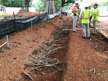 Moore Square | Landscape Performance Series