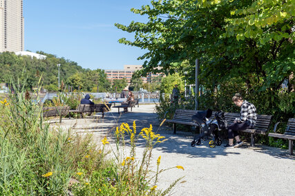 Muscota Marsh | Landscape Performance Series