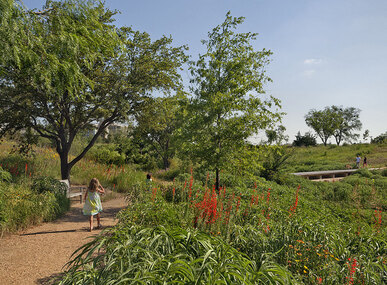 The George W. Bush Presidential Center | Landscape Performance Series