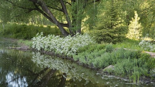 Cascade Garden | Landscape Performance Series