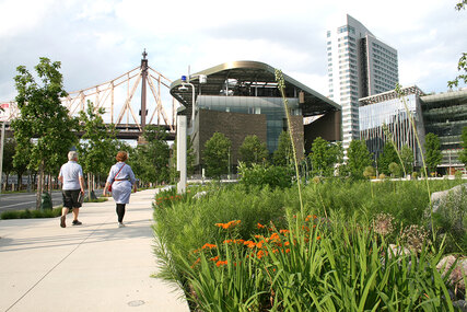 Cornell Tech Campus, Phase 1 | Landscape Performance Series