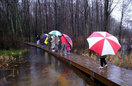 Crosswinds Marsh Wetland Interpretive Preserve | Landscape Performance ...