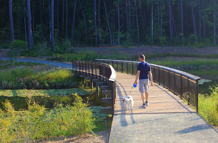 Duke University Water Reclamation Pond | Landscape Performance Series