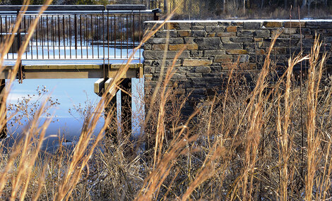 Duke University Water Reclamation Pond | Landscape Performance Series