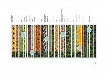 Gary Comer Youth Center | Landscape Performance Series