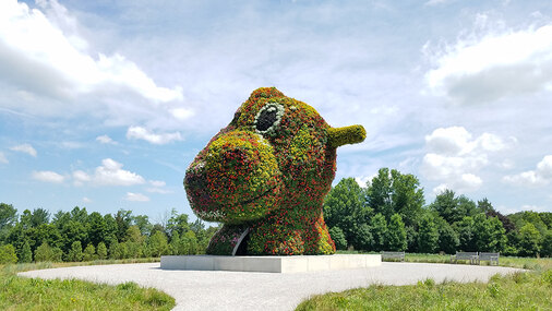 Glenstone | Landscape Performance Series