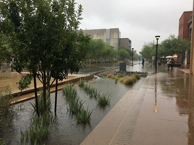Arizona State University Orange Mall Green Infrastructure Project ...