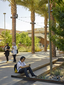 Arizona State University Orange Mall Green Infrastructure Project ...