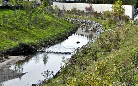 Ruth Mott Foundation Gilkey Creek Relocation and Restoration ...