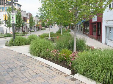 Uptown Normal Circle and Streetscape | Landscape Performance Series