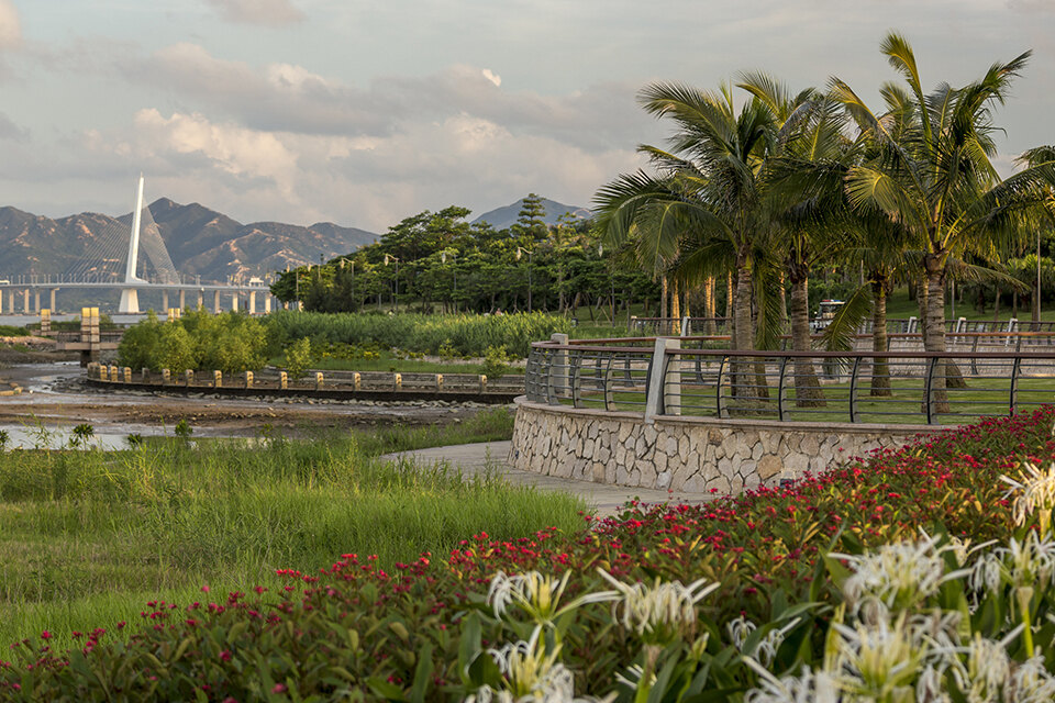 Shenzhen Bay Coastal Park Phase 1 | Landscape Performance Series