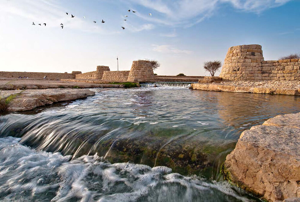 Wadi Hanifah Comprehensive Development Plan | Landscape Performance Series