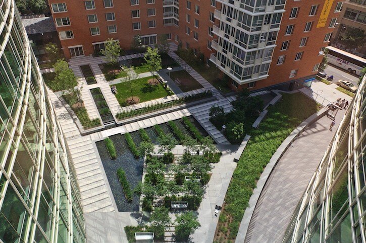 The Avenue | Landscape Performance Series