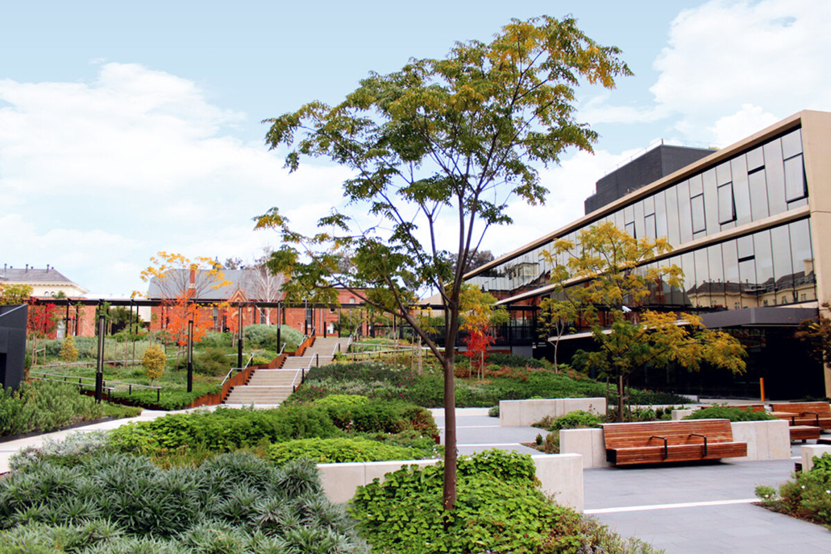 Bendigo Hospital | Landscape Performance Series