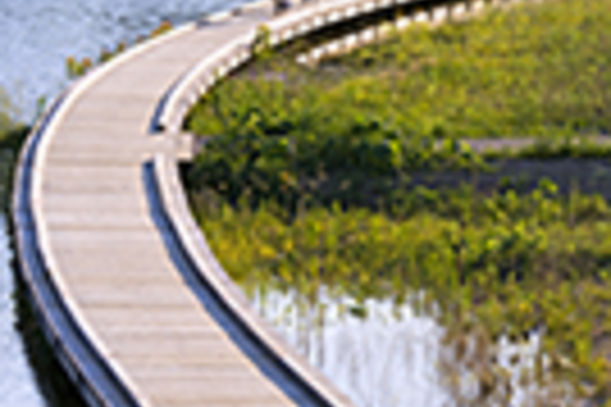 Nature-based solutions and climate impacts | Landscape Performance Series