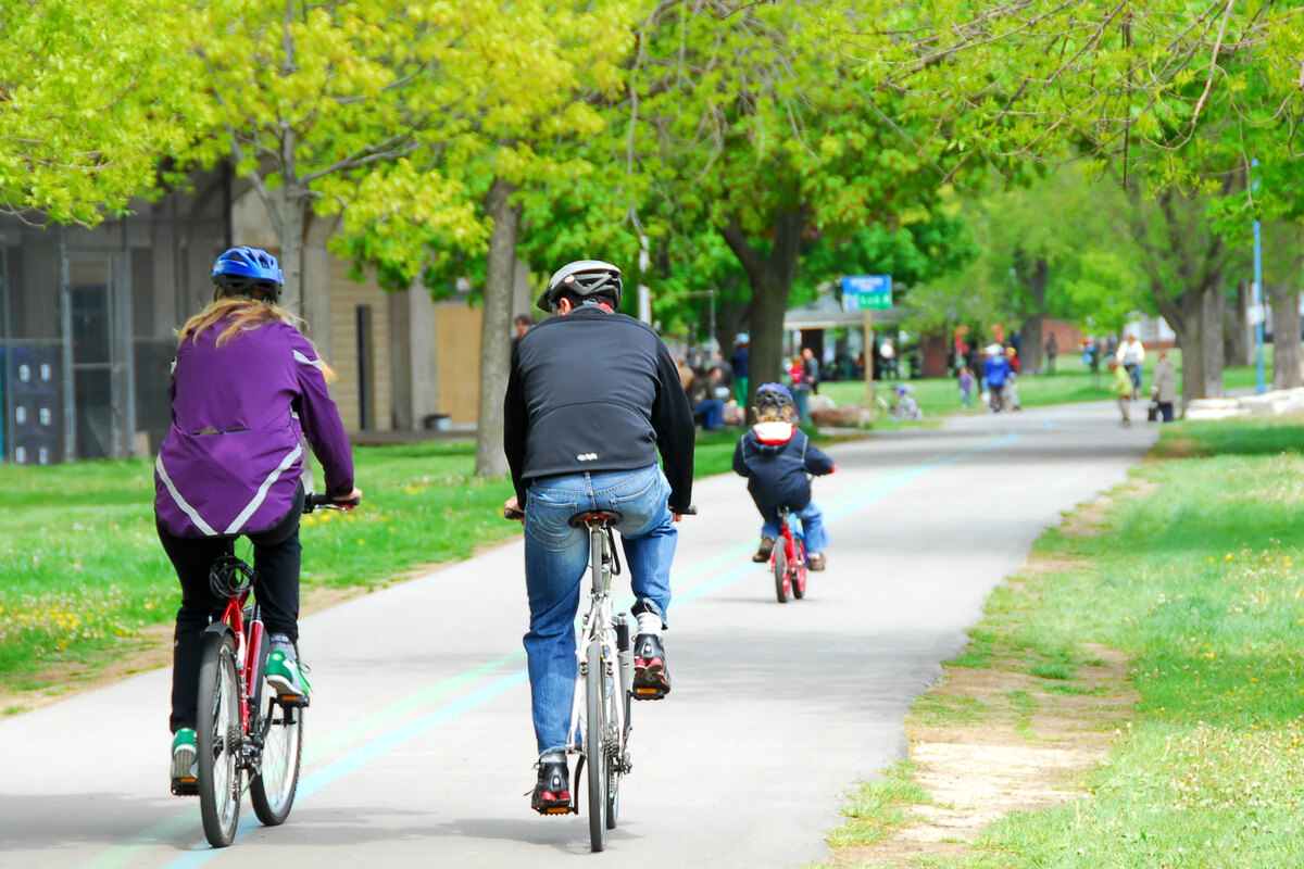 Parks with trails used more for physical activity | Landscape ...