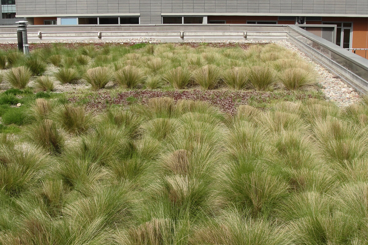 Green roof visual preference | Landscape Performance Series