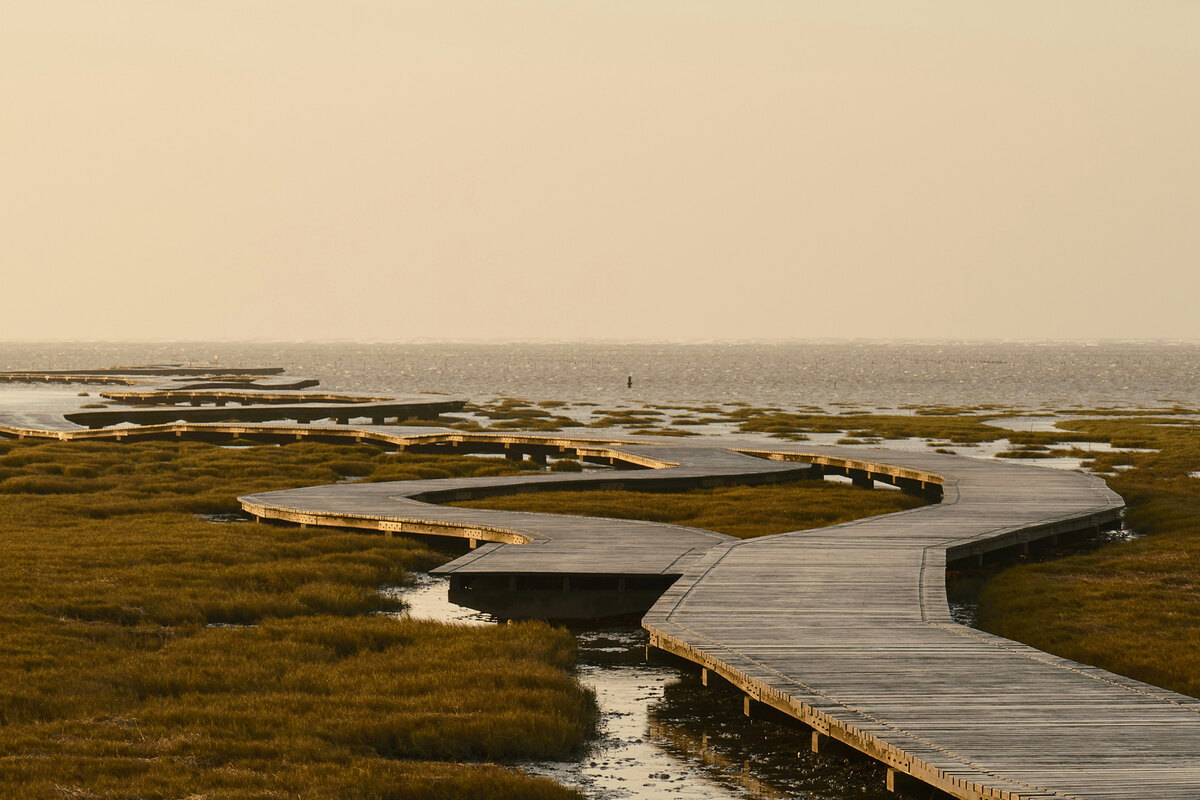 Nature-based solutions cost effectiveness | Landscape Performance Series