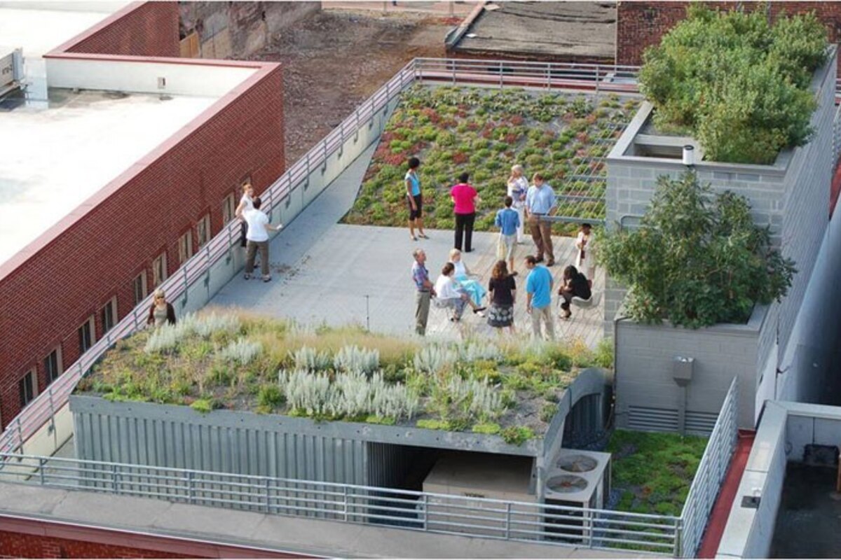 Extensive Green Roof Design