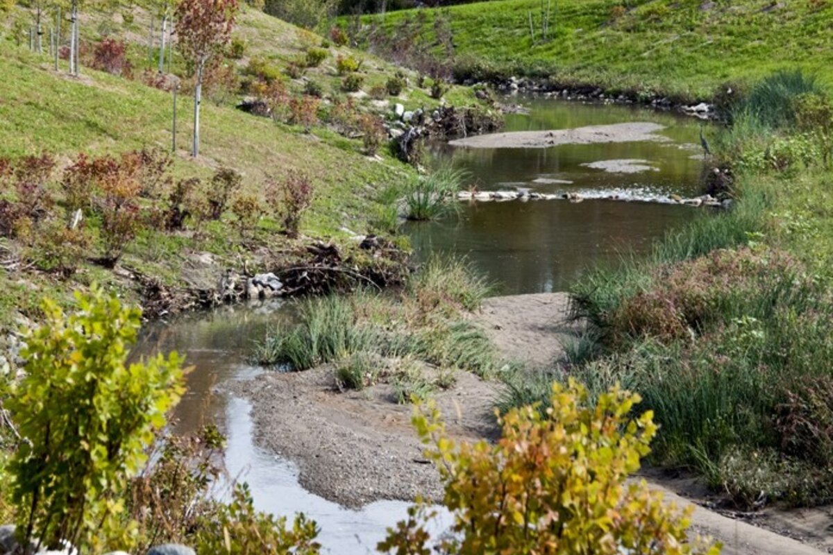Ruth Mott Foundation Gilkey Creek Relocation and Restoration ...