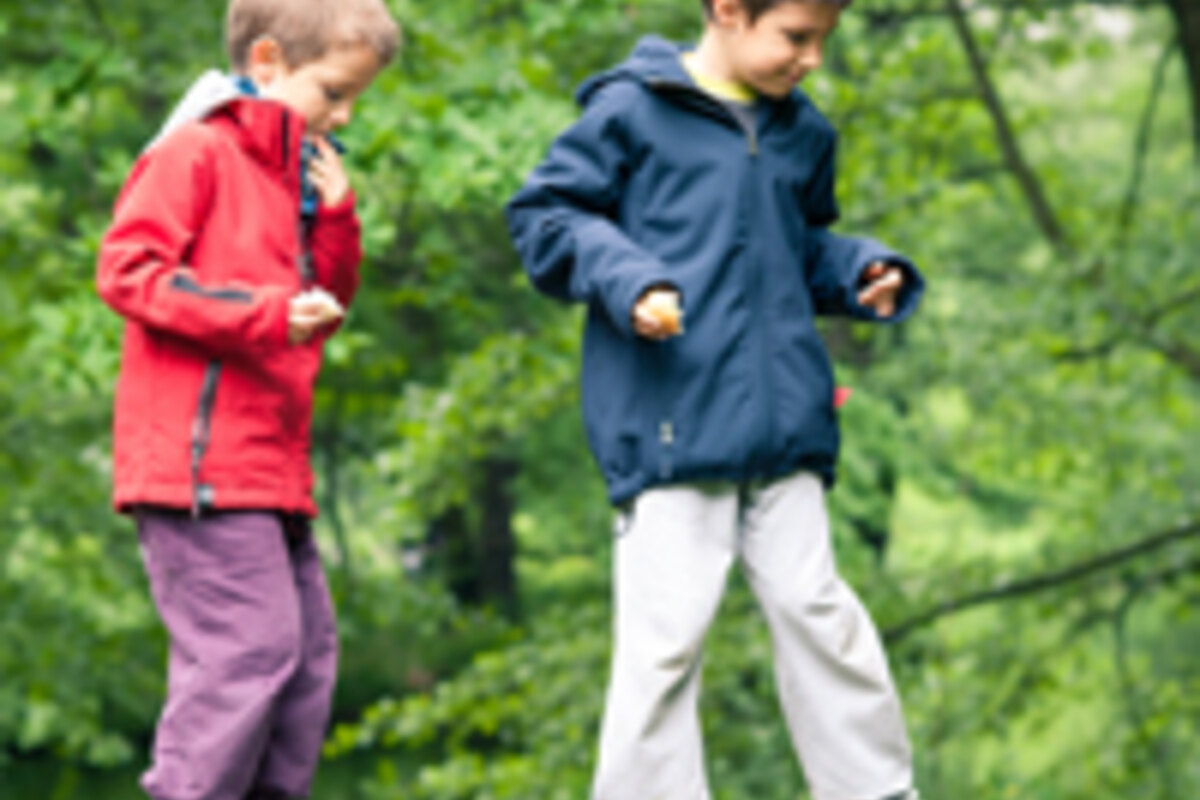 logs increased physical activity | Landscape Performance Series