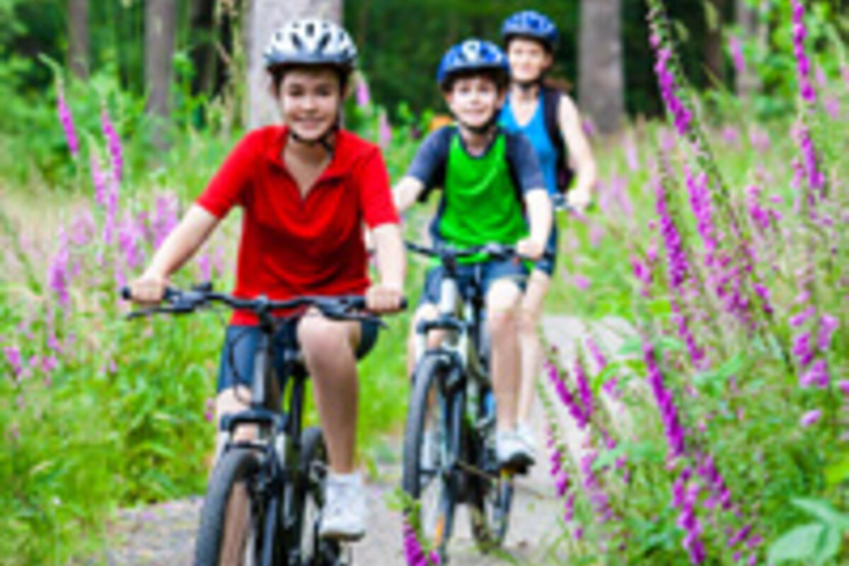 physical activity treed areas | Landscape Performance Series